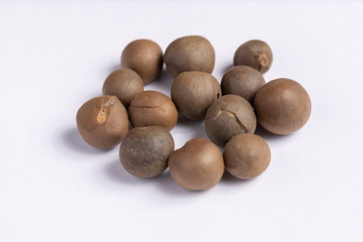 Regarding Tea Seeds - THREE HOLISTIC RESEARCH CENTER