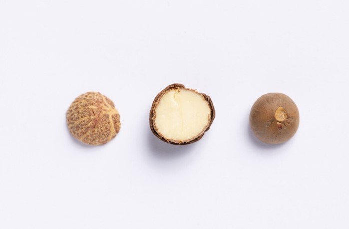 Regarding Tea Seeds - THREE HOLISTIC RESEARCH CENTER